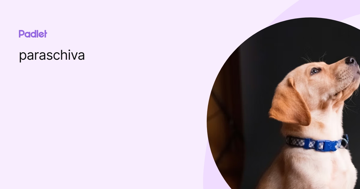 paraschiva profile | Padlet