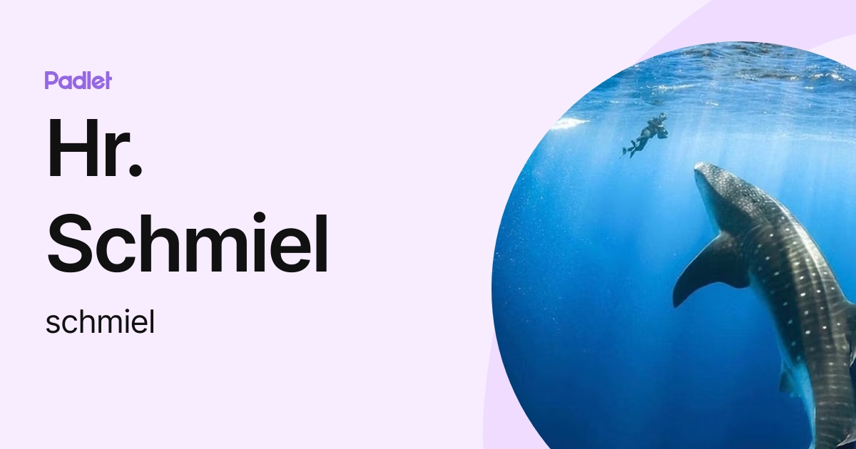 Hr. Schmiel (schmiel) profile | Padlet