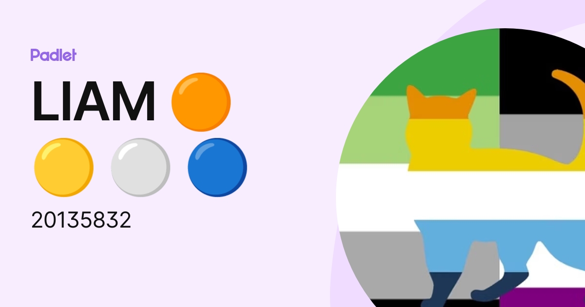 Liam WILDING (20135832) profile | Padlet