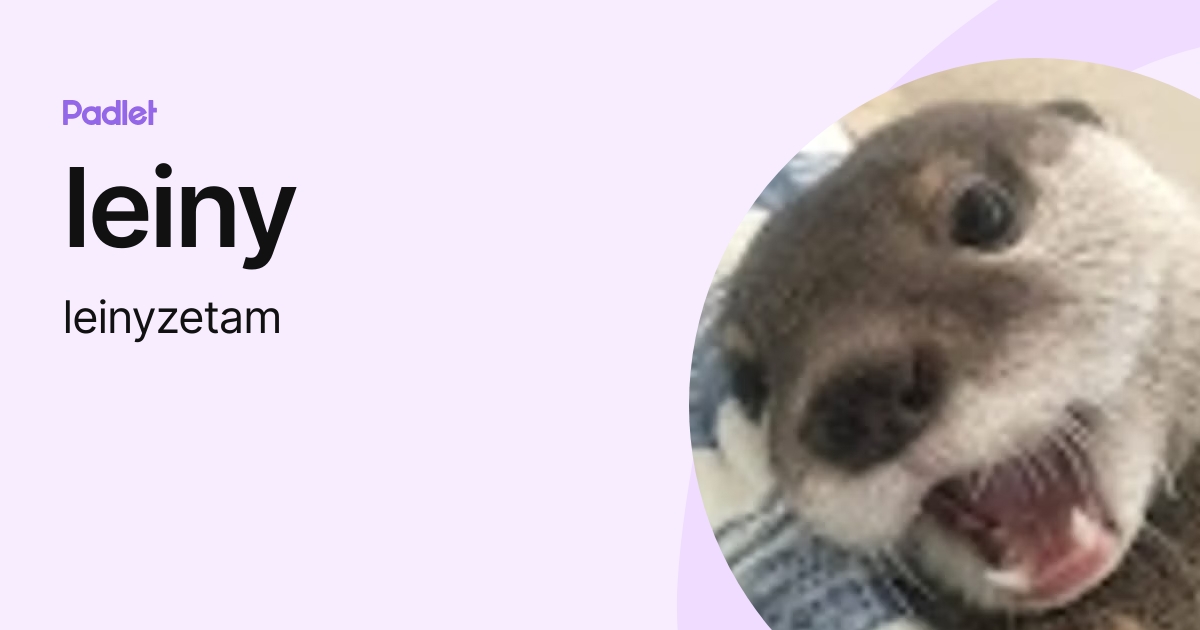 leiny (leinyzetam) profile | Padlet