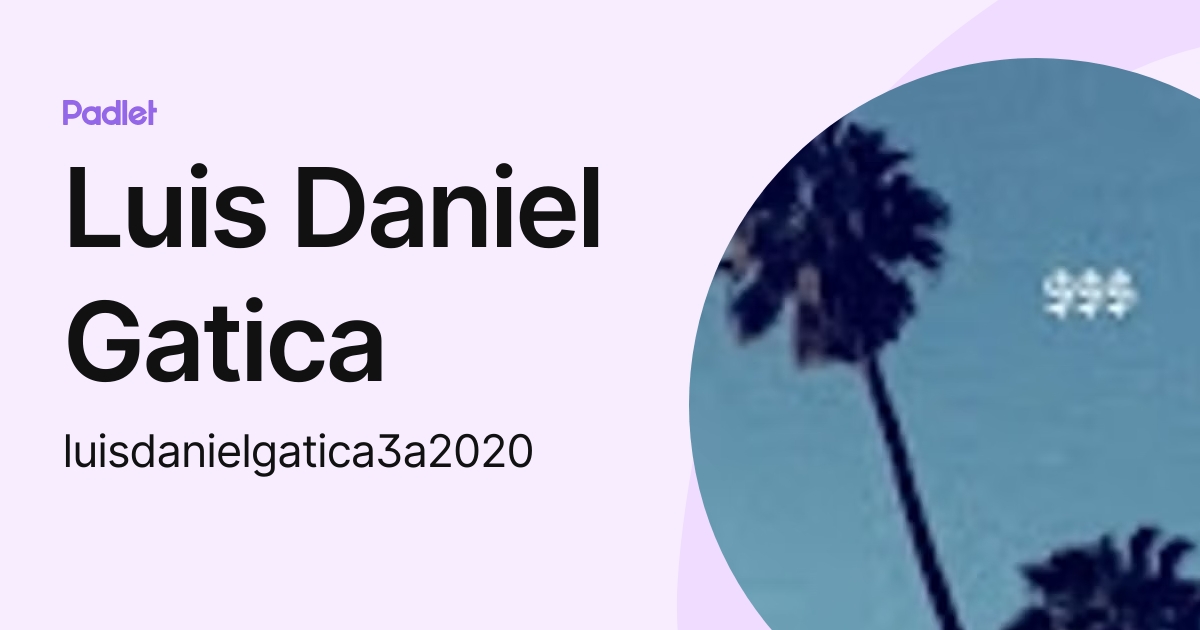 Luis Daniel Gatica (luisdanielgatica3a2020) profile | Padlet