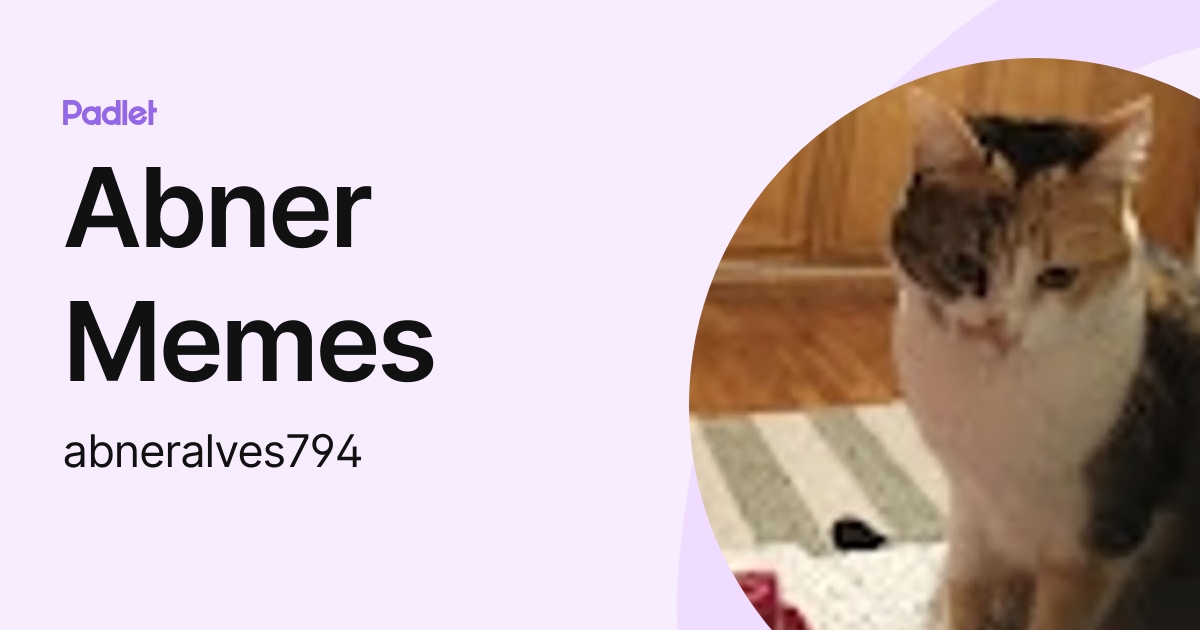 Abner Memes (abneralves794) profile | Padlet