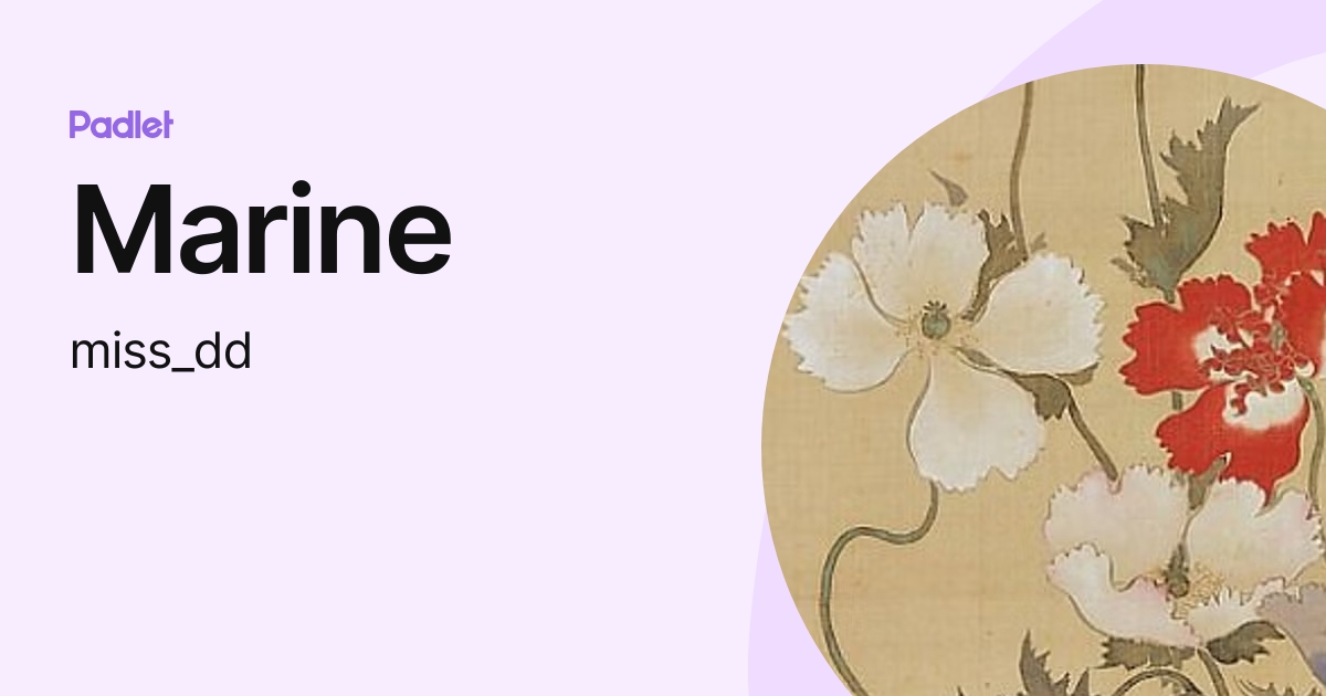 Marine (miss_dd) profile | Padlet