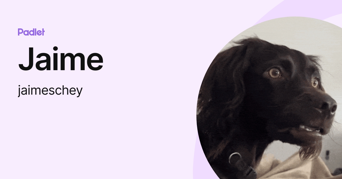 Jaime (jaimeschey) profile | Padlet