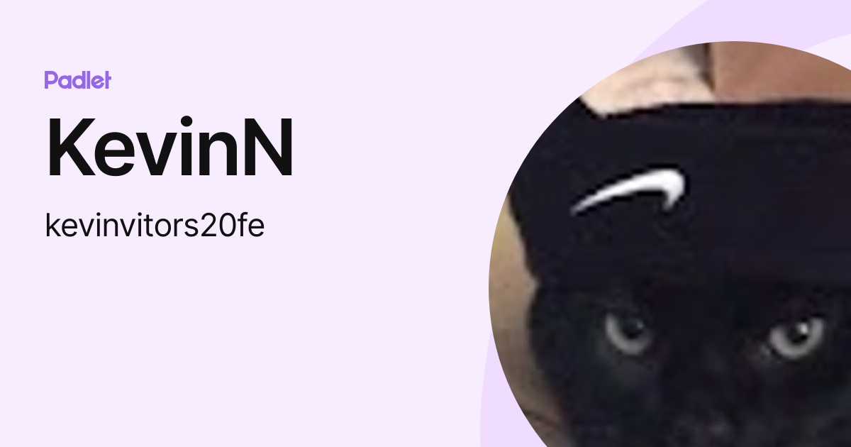 KevinN (kevinvitors20fe) profile | Padlet