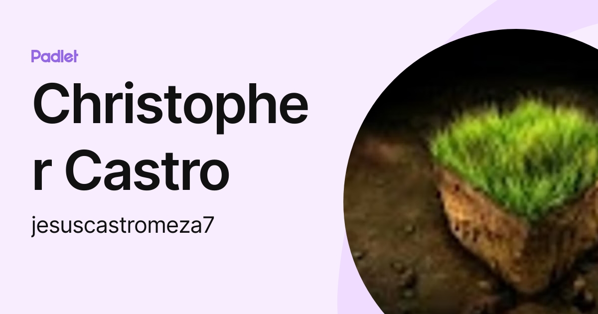 Christopher Castro (jesuscastromeza7) profile | Padlet