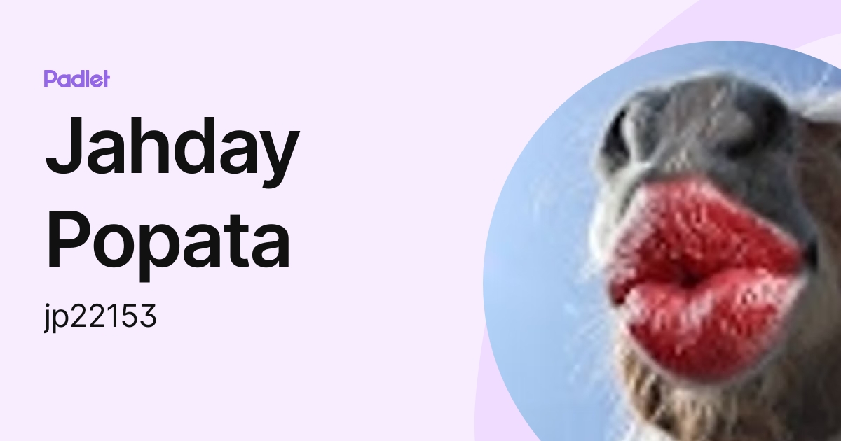 Jahday Popata (jp22153) profile | Padlet