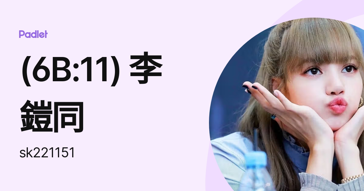 (6B:11) 李鎧同 (sk221151) profile | Padlet