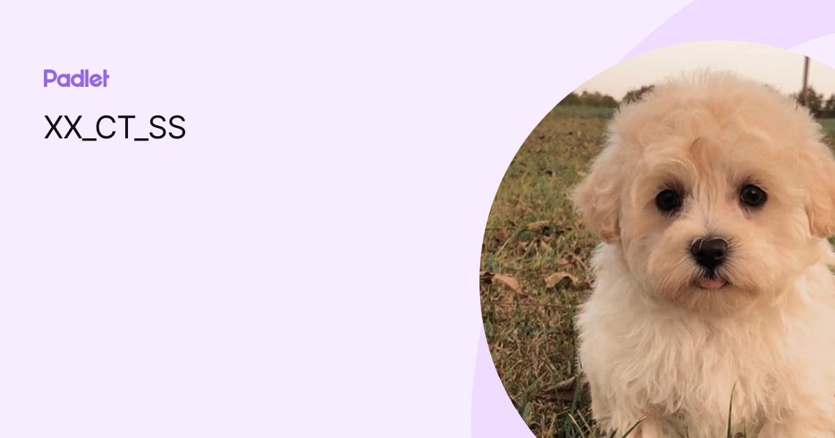 XX_CT_SS profile | Padlet