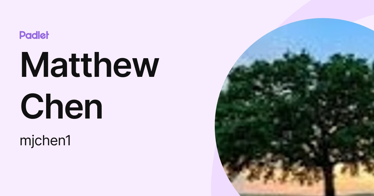 Matthew Chen (mjchen1) profile | Padlet