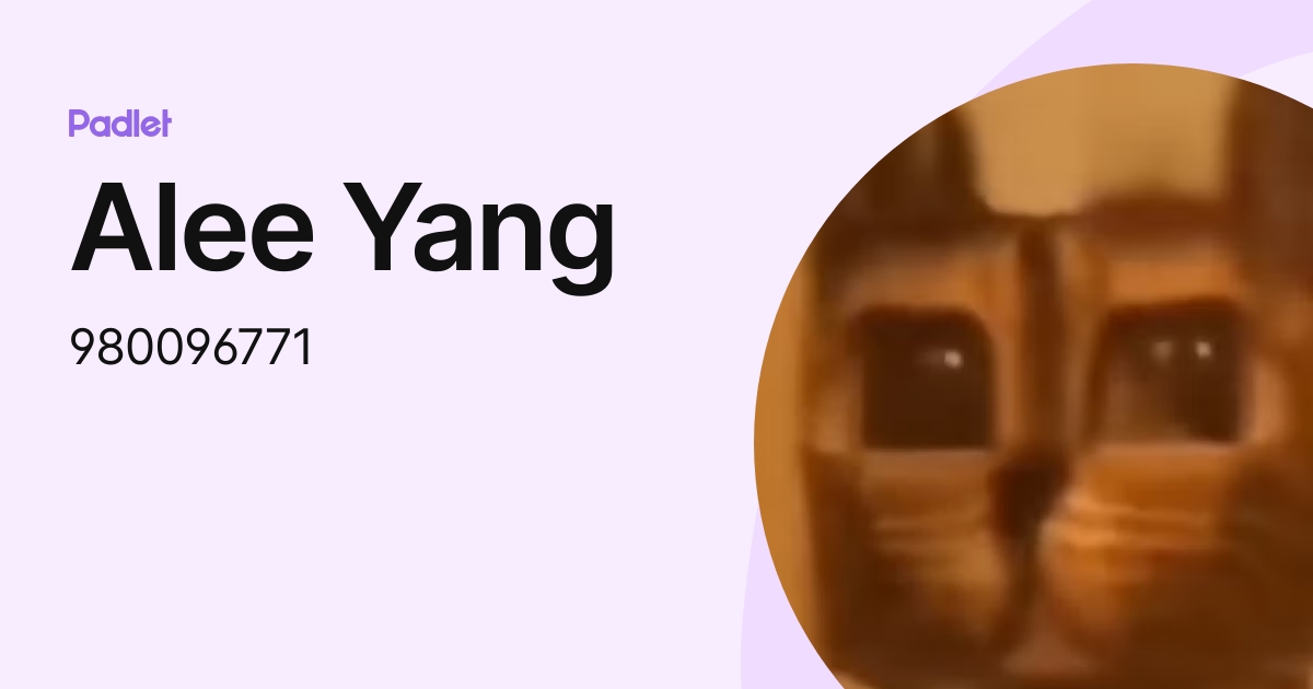 Alee Yang (980096771) profile | Padlet