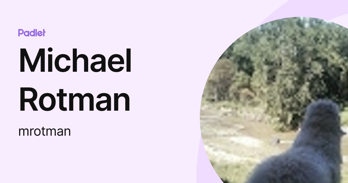 Michael Rotman (mrotman) profile | Padlet