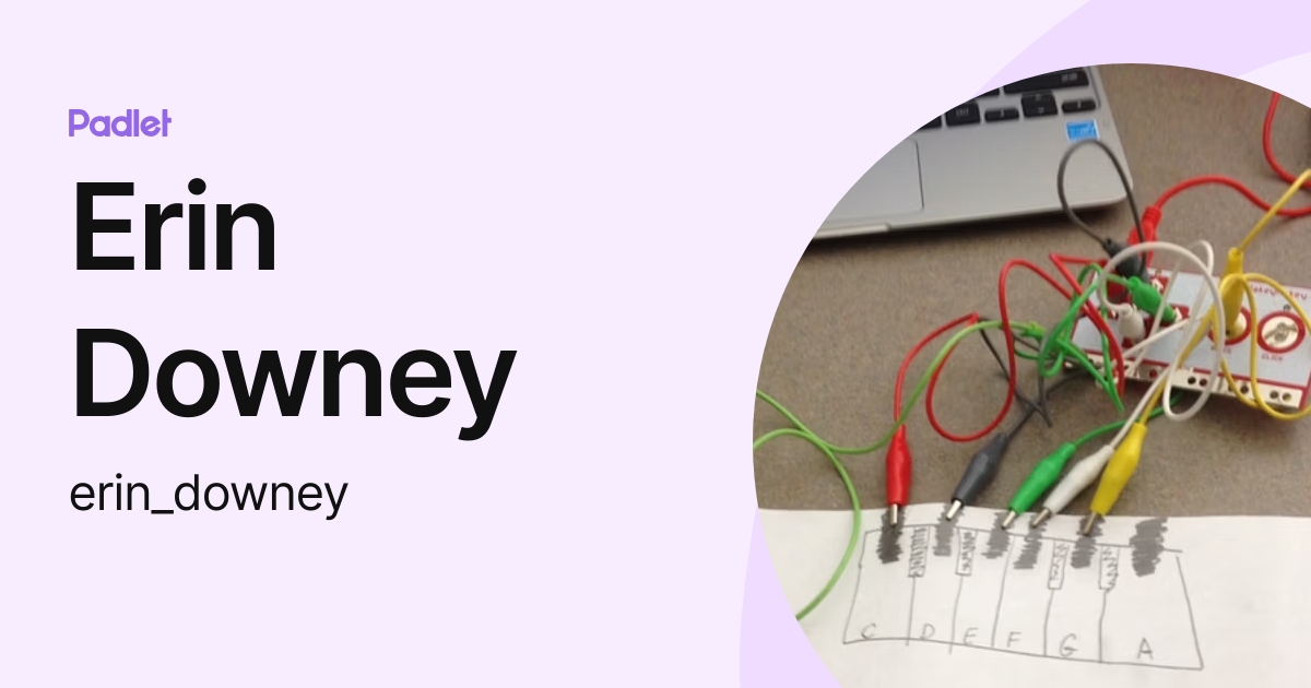 Erin Downey Erin Downey Profile Padlet