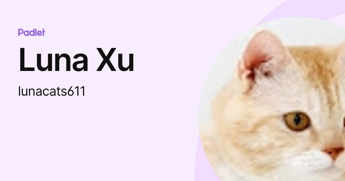 Luna Xu (lunacats611) profile | Padlet