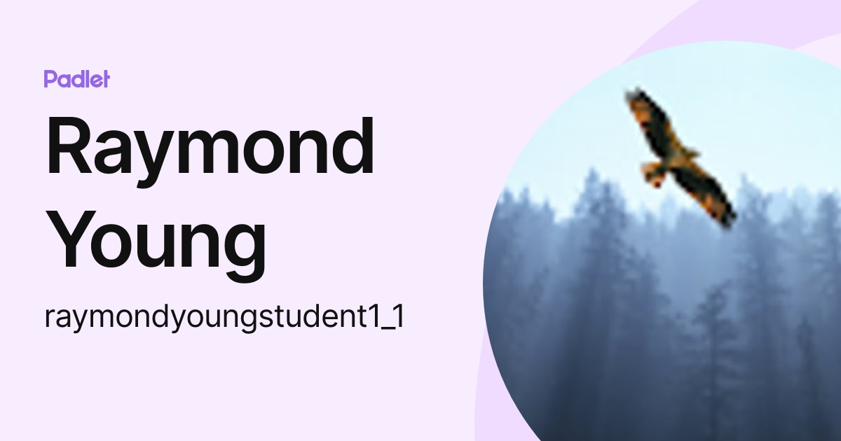 Raymond Young (raymondyoungstudent1_1) profile | Padlet