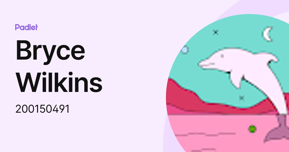 Bryce Wilkins (200150491) profile | Padlet