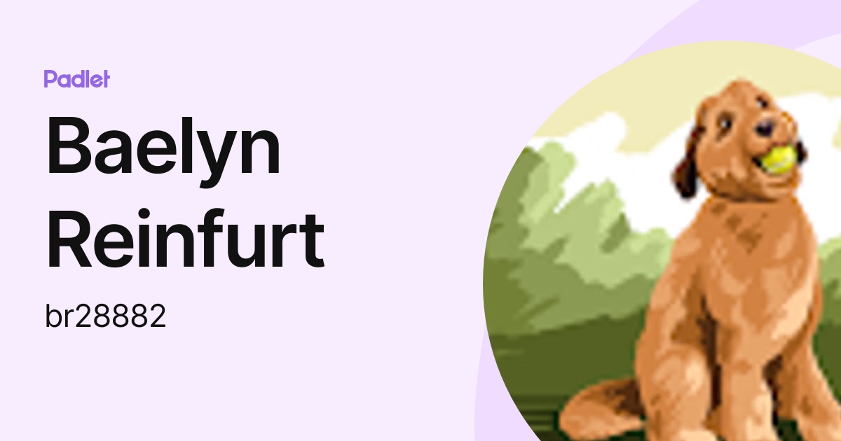 Baelyn Reinfurt (br28882) profile | Padlet