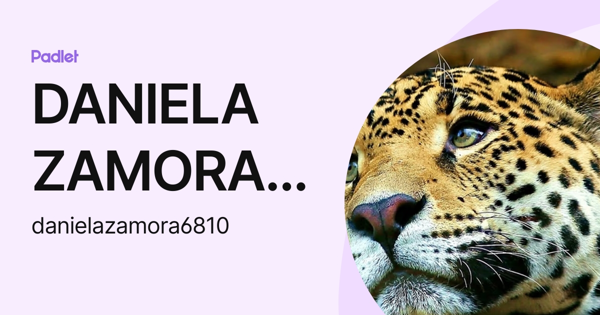 DANIELA ZAMORA HERNANDEZ (danielazamora6810) profile | Padlet