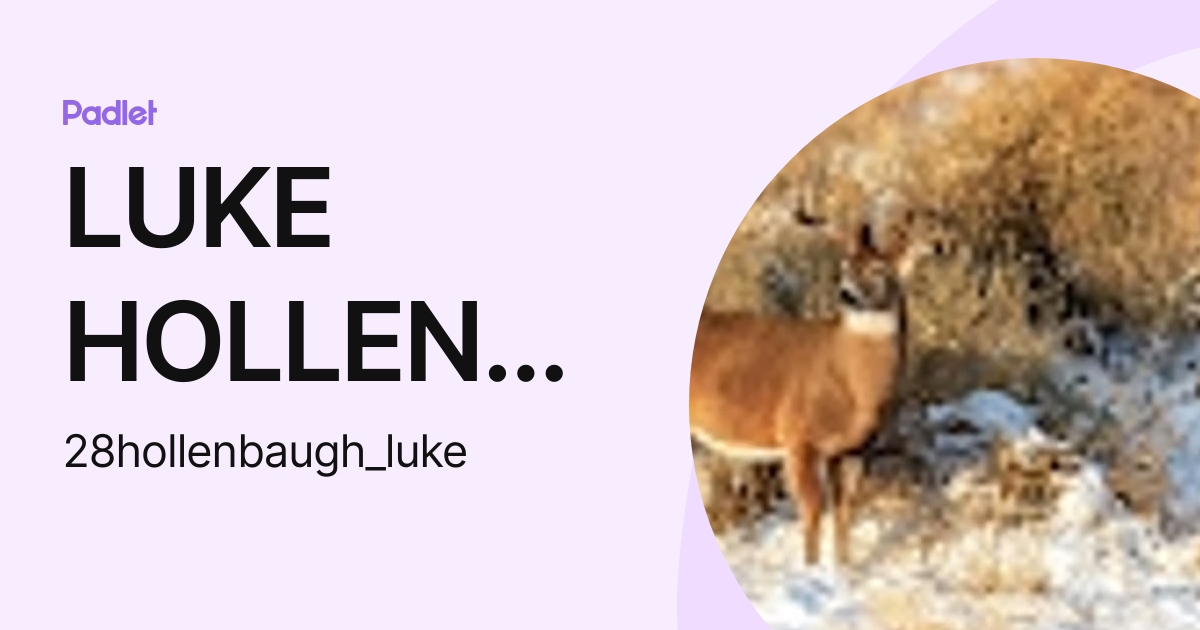 LUKE HOLLENBAUGH (28hollenbaugh_luke) profile | Padlet