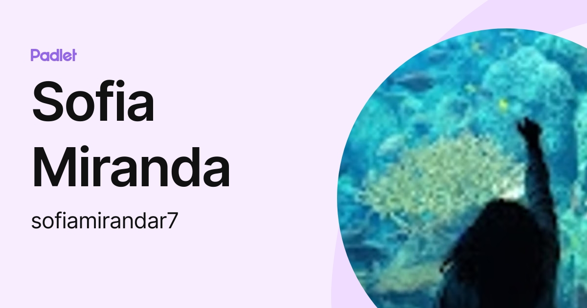 Sofia Miranda (sofiamirandar7) profile | Padlet
