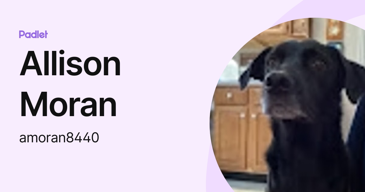 Allison Moran (amoran8440) profile | Padlet