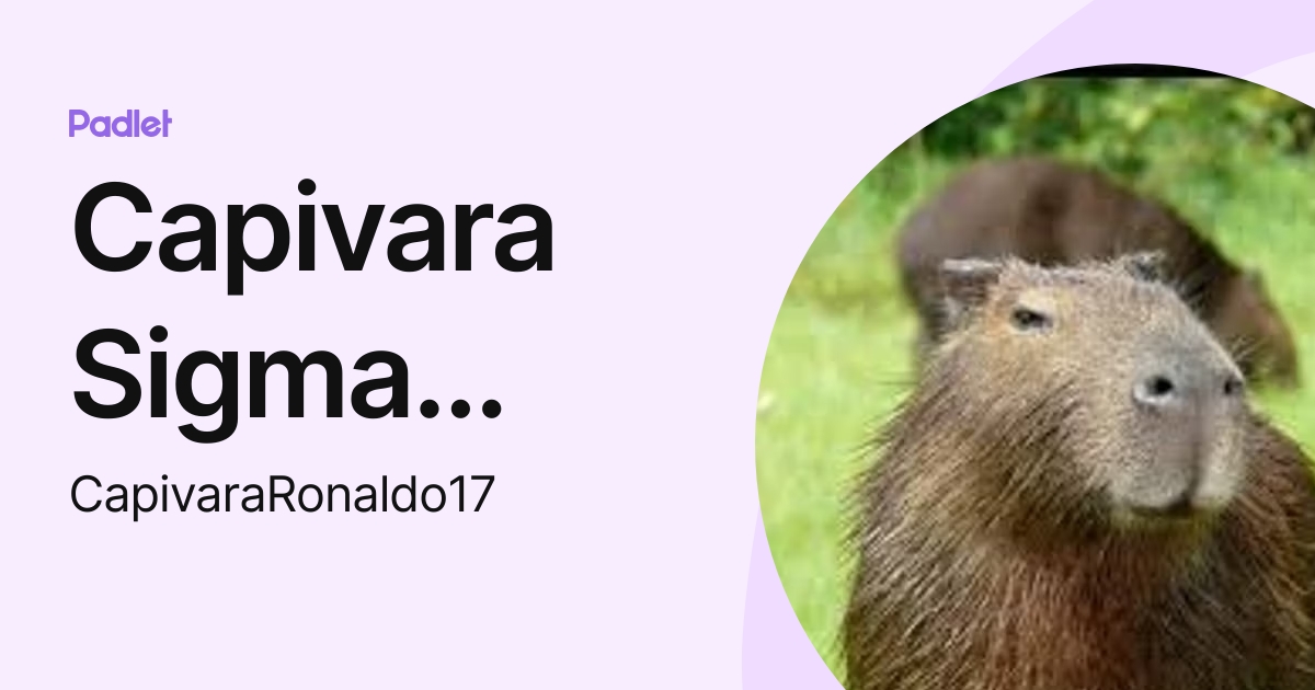 Capivara Sigma Calva (CapivaraRonaldo17) profile | Padlet