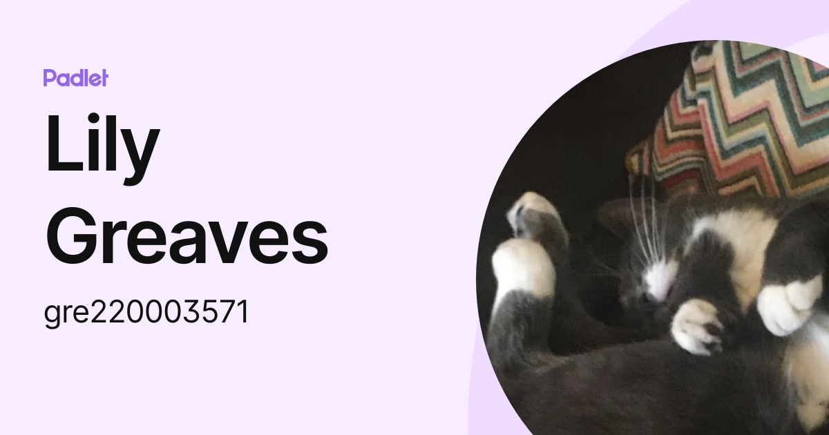 Lily Greaves (gre220003571) profile | Padlet
