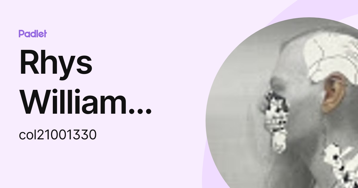 Rhys William John Colebrook (col21001330) profile | Padlet