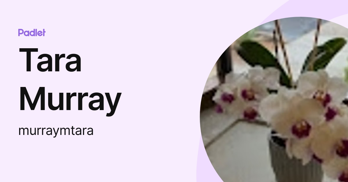 Tara Murray (murraymtara) profile | Padlet