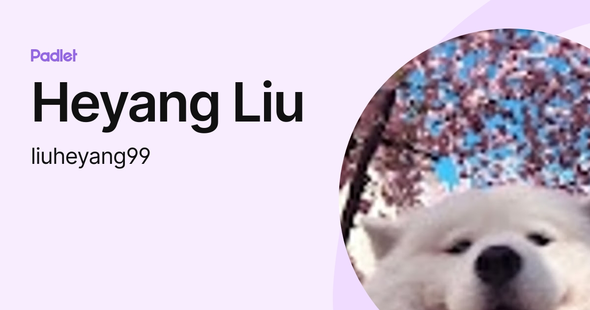 Heyang Liu (liuheyang99) profile | Padlet