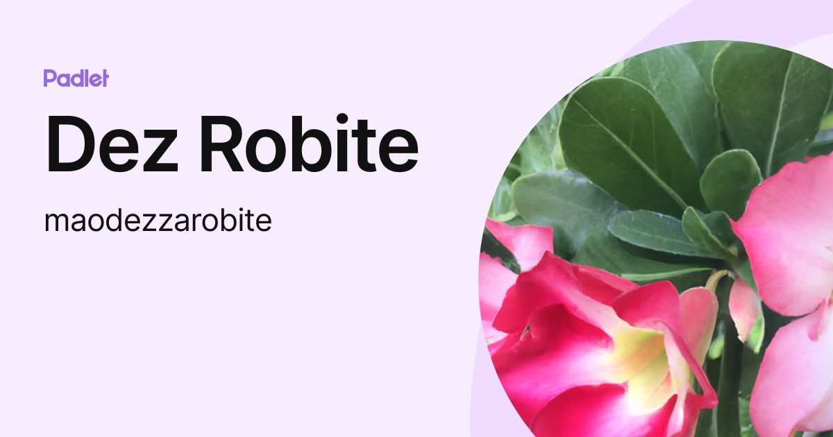 Dez Robite (maodezzarobite) profile | Padlet