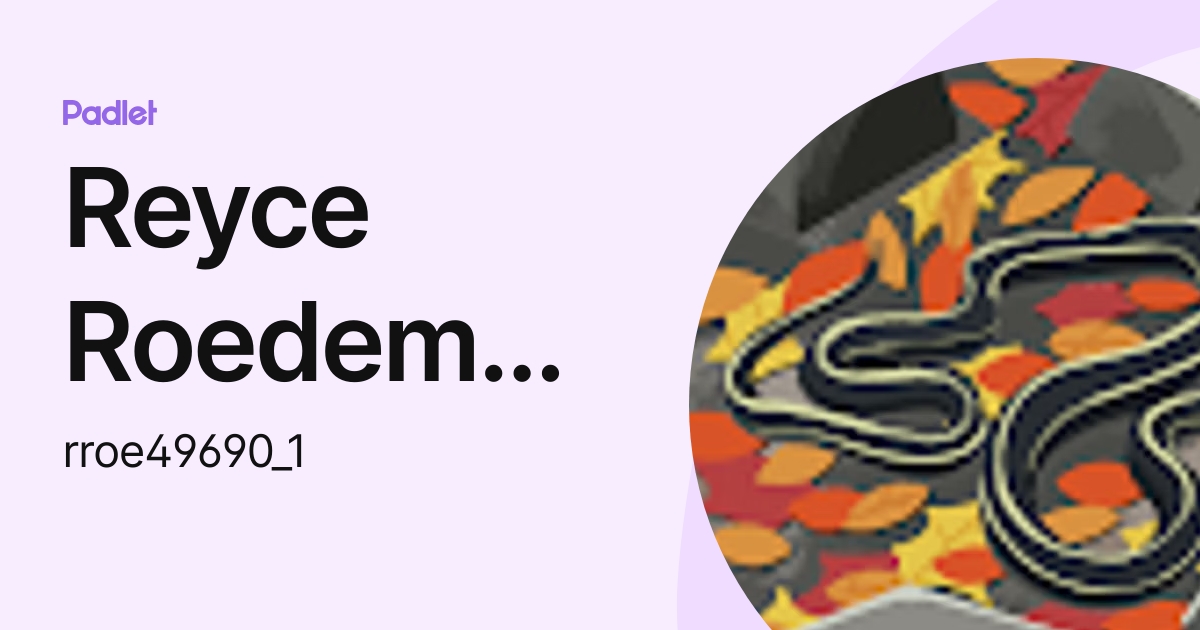 Reyce Roedema - RTM Student (rroe49690) profile | Padlet