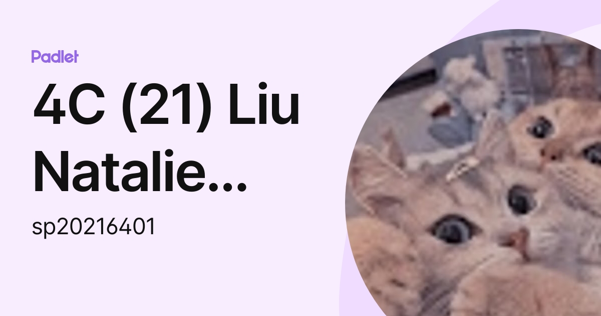 4C (21) Liu Natalie Yan Chi (sp20216401) profile | Padlet