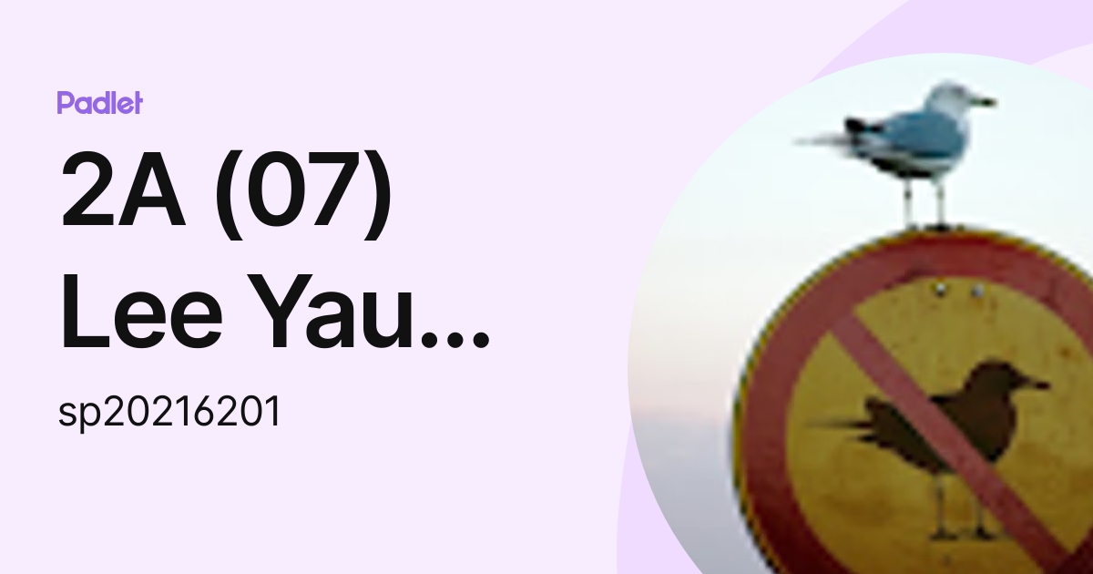 2A (07) Lee Yau Hei Hubert (sp20216201) profile | Padlet