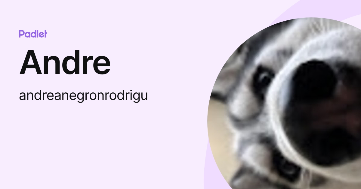 Andre (andreanegronrodrigu) profile | Padlet