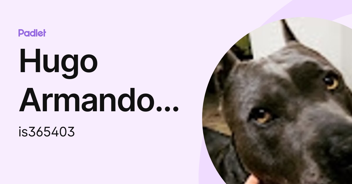 Hugo Armando Islas Morgado (is365403) profile | Padlet