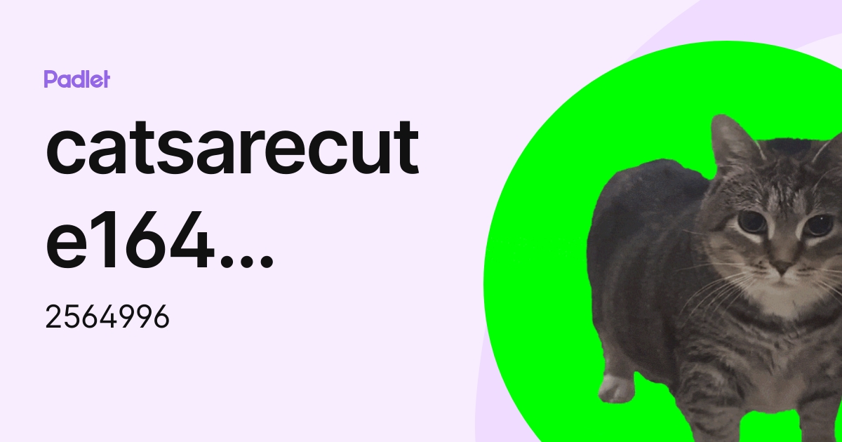 Floofy Fluff Playz YT #3 AKA Vivi (Violet) (2564996) profile | Padlet