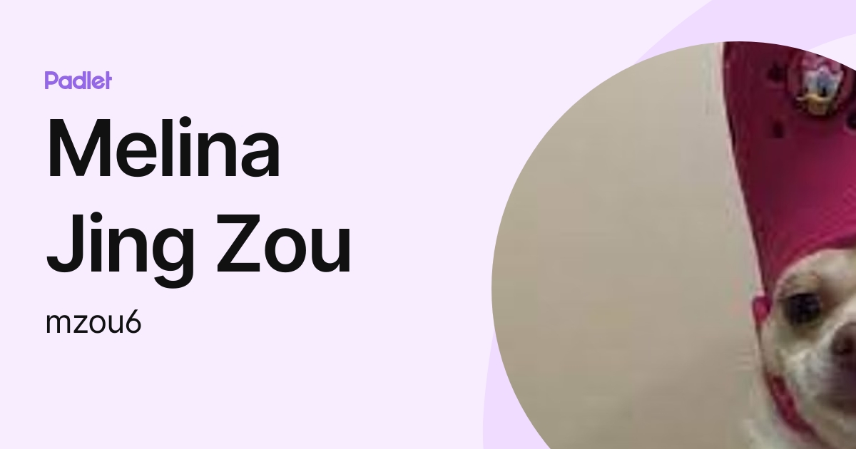 Melina Jing Zou (mzou6) profile | Padlet