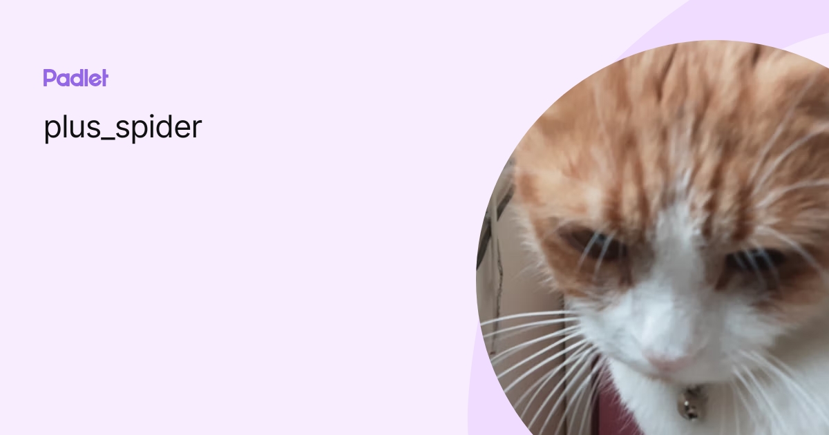 plus_spider profile | Padlet