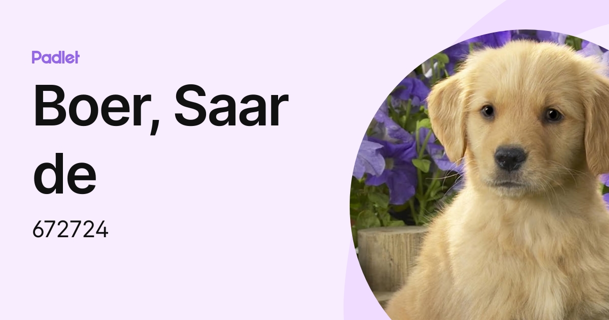Boer, Saar de (672724) profile | Padlet