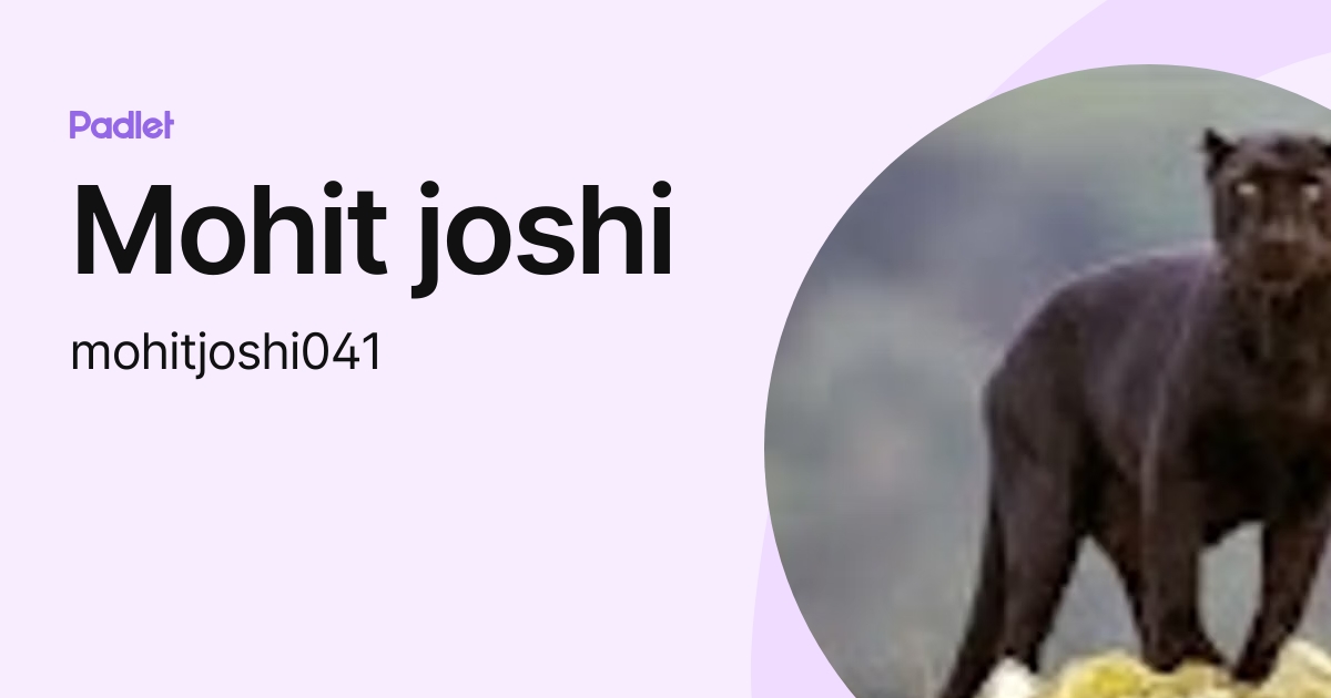 Mohit joshi (mohitjoshi041) profile | Padlet