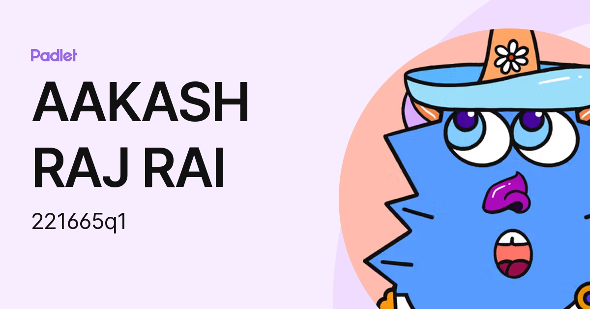 AAKASH RAJ RAI (221665q1) profile | Padlet