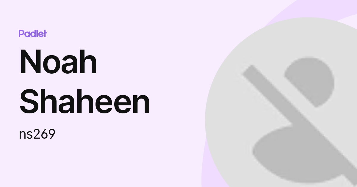 Noah Shaheen (ns269) profile | Padlet