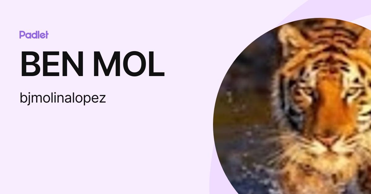 BEN MOL (bjmolinalopez) profile | Padlet