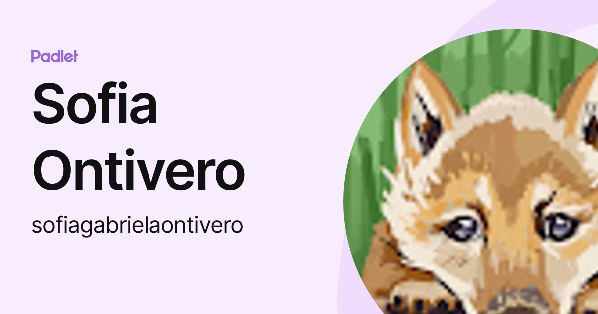 Sofia Ontivero (sofiagabrielaontivero) profile | Padlet