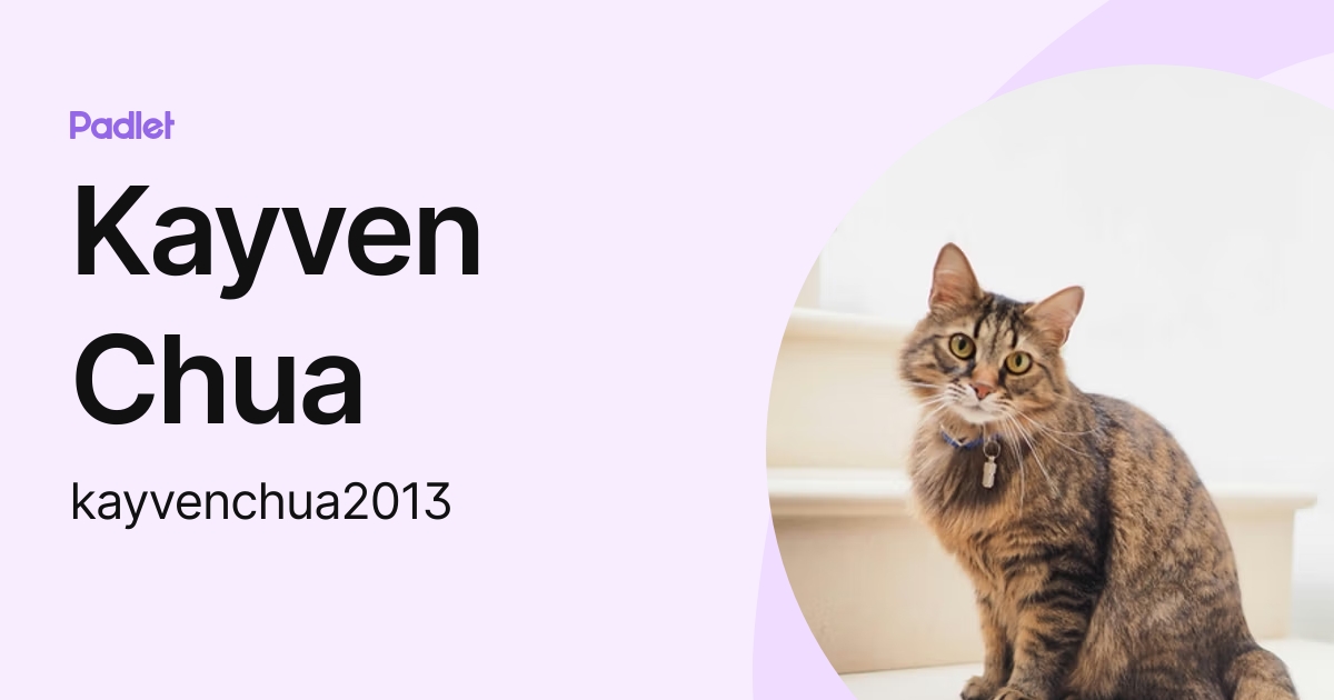 Kayven Chua (kayvenchua2013) profile | Padlet