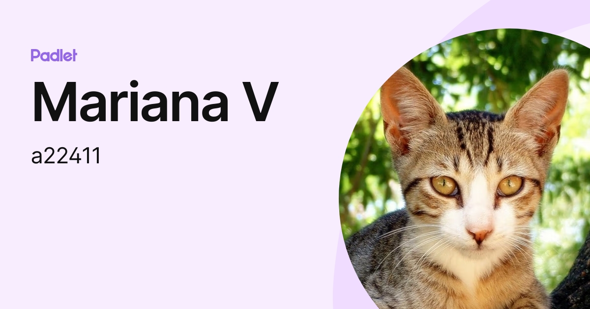 Mariana V (a22411) profile | Padlet