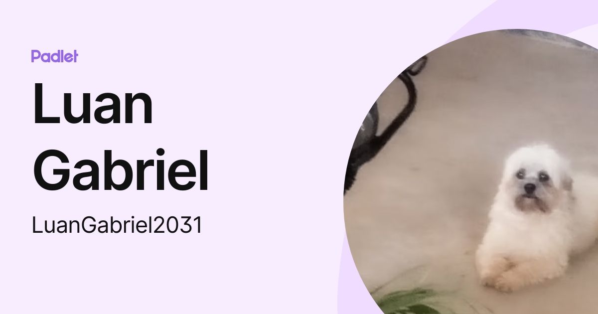 Luan Gabriel (LuanGabriel2031) profile | Padlet