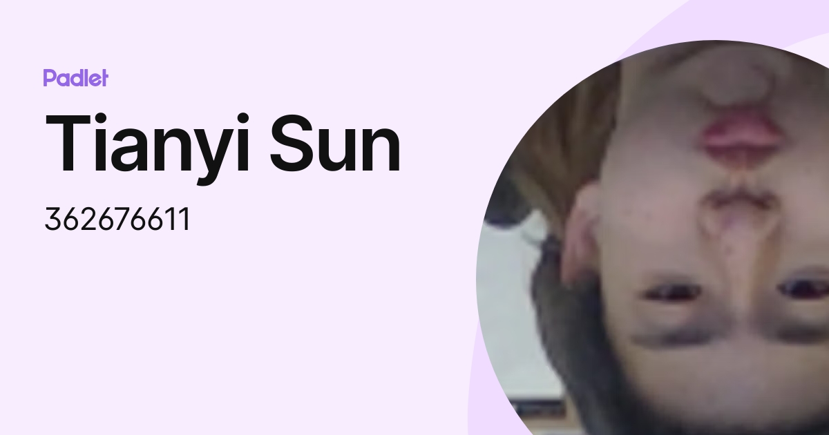 Tianyi Sun (362676611) profile | Padlet