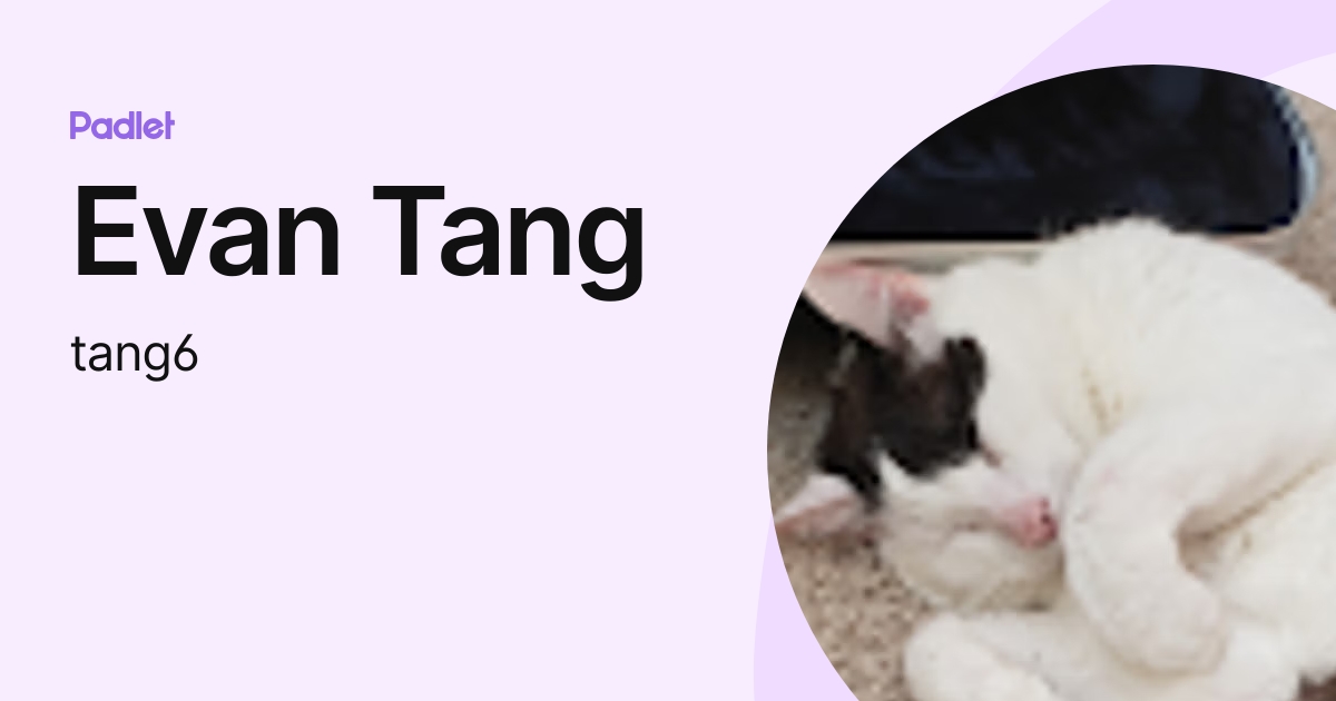 Evan Tang (tang6) profile | Padlet